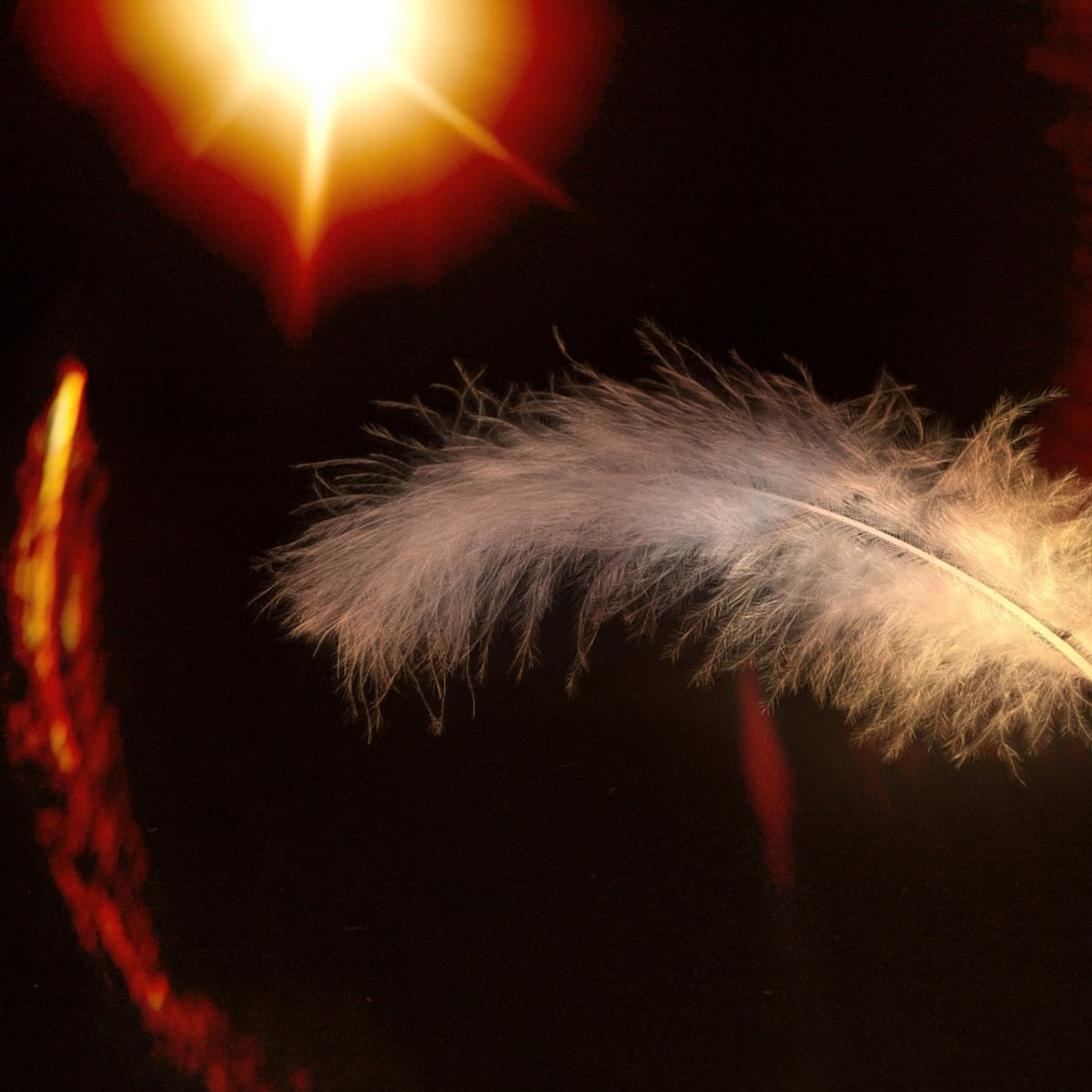 Featherlight (Featuring Heather Feather ASMR) by Lee Rosevere (Album ...