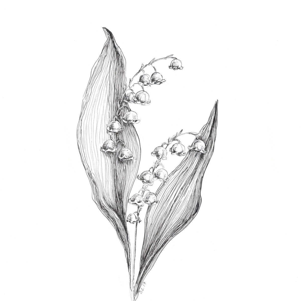 Lily by Nico Rey (Album): Reviews, Ratings, Credits, Song list - Rate ...