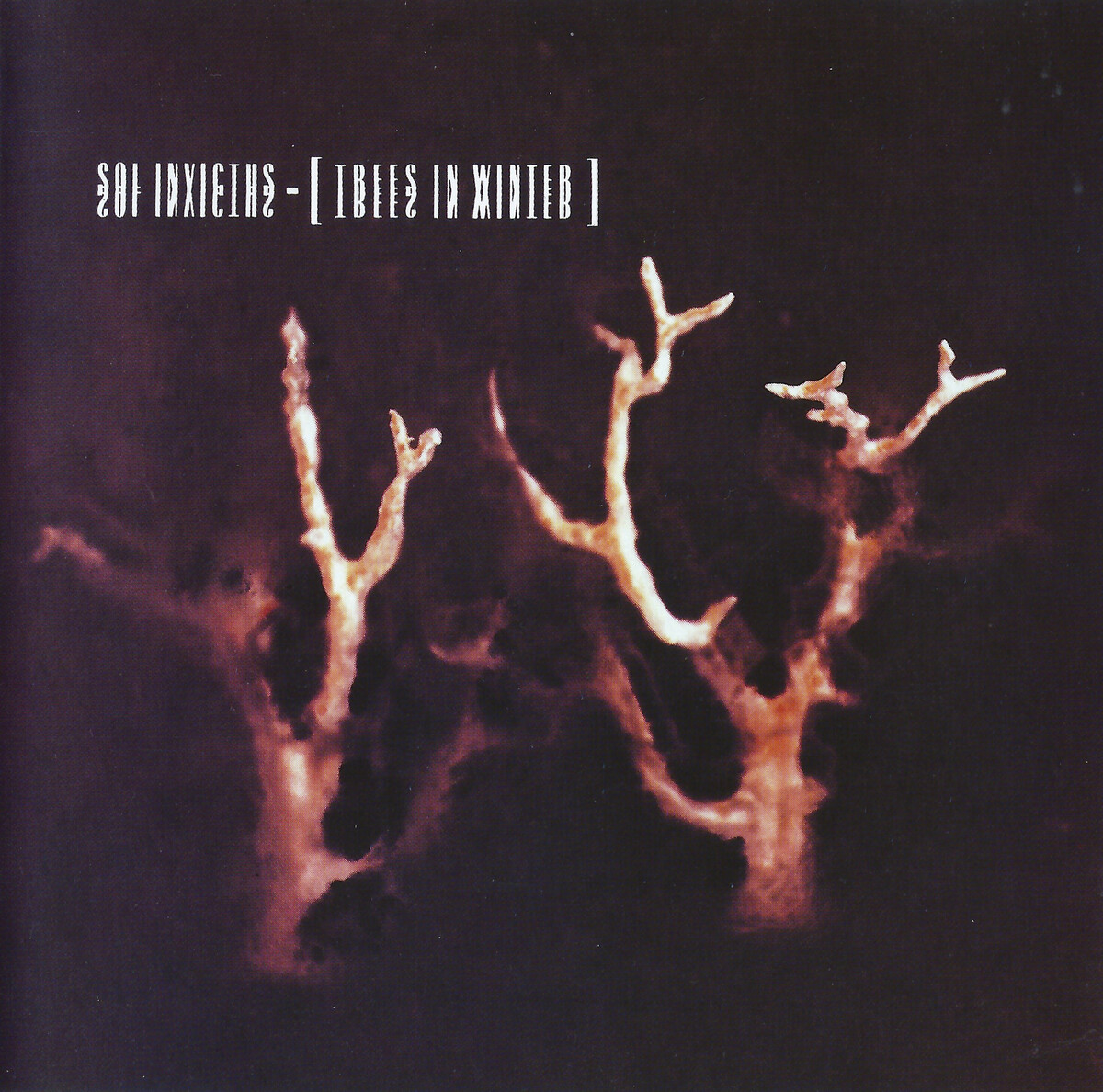 Trees in Winter by Sol Invictus (Album; Tursa; TURSA 002 CD): Reviews, Ratings, Credits, Song ...