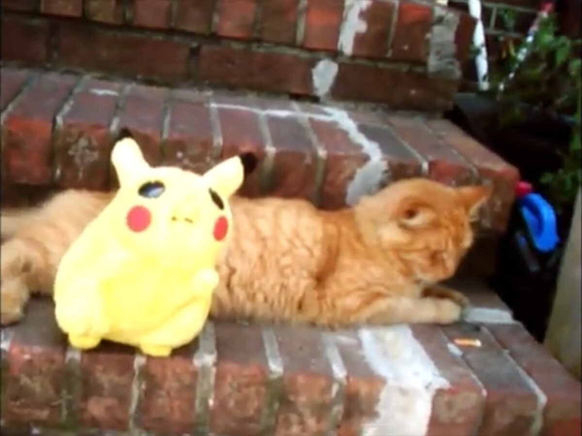 Scraped Up Knees by Garden Angel (Music video, Emo): Reviews, Ratings ...