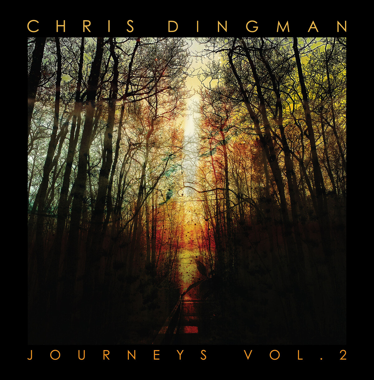Journeys Vol. 2 by Chris Dingman (Album): Reviews, Ratings, Credits ...
