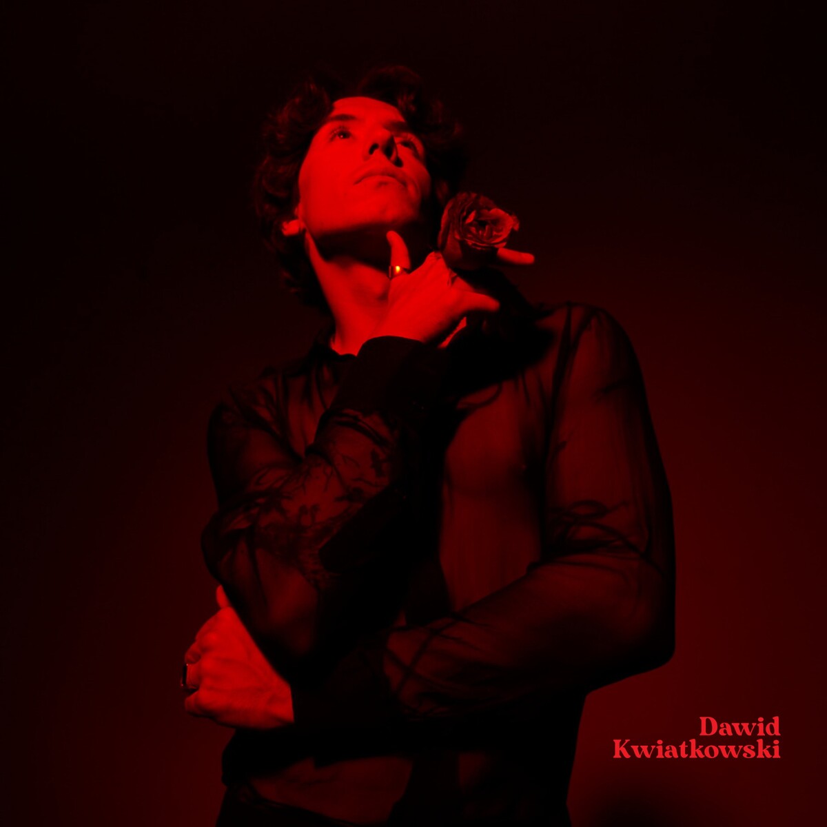 Dawid Kwiatkowski Albums: songs, discography, biography, and listening ...