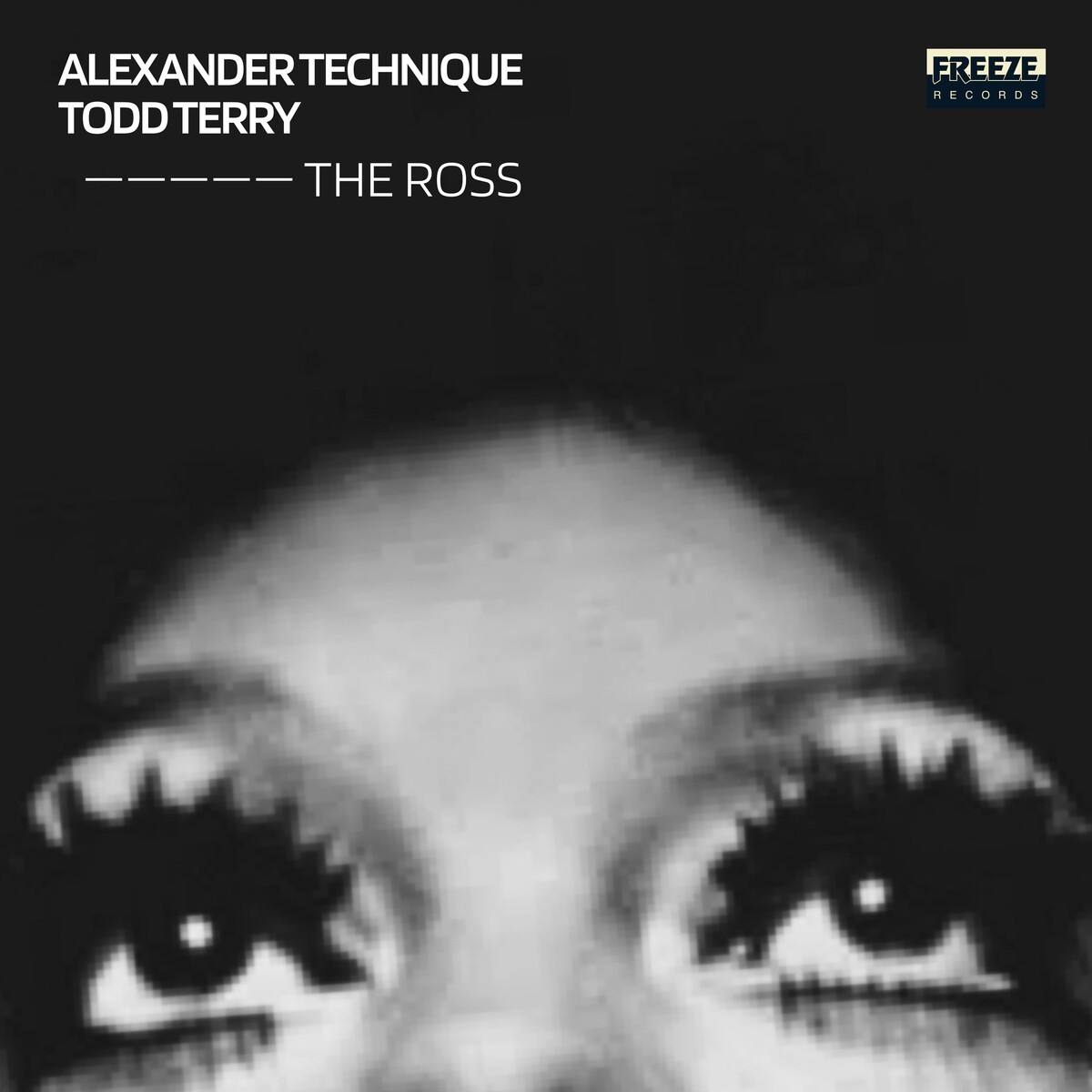 The Ross by Alexander Technique & Todd Terry (Single; Freeze; FR876): Reviews, Ratings, Credits ...