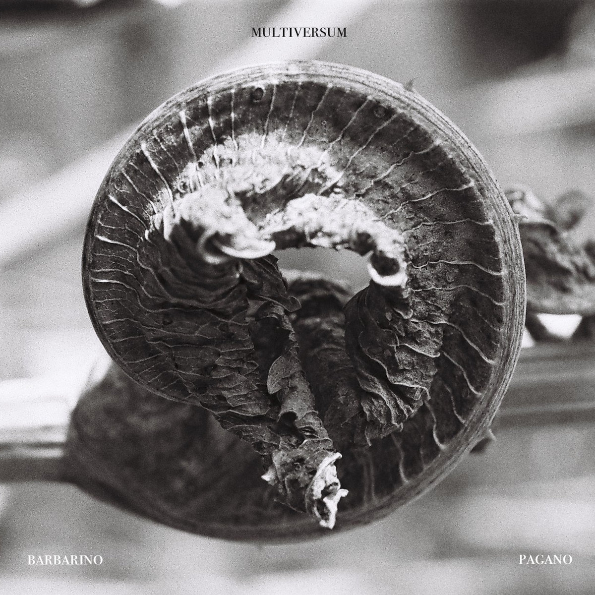 Multiversum by Davide Barbarino & Gandolfo Pagano (Album): Reviews, Ratings, Credits, Song list ...