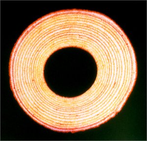 The High-Lows Albums: songs, discography, biography, and listening ...