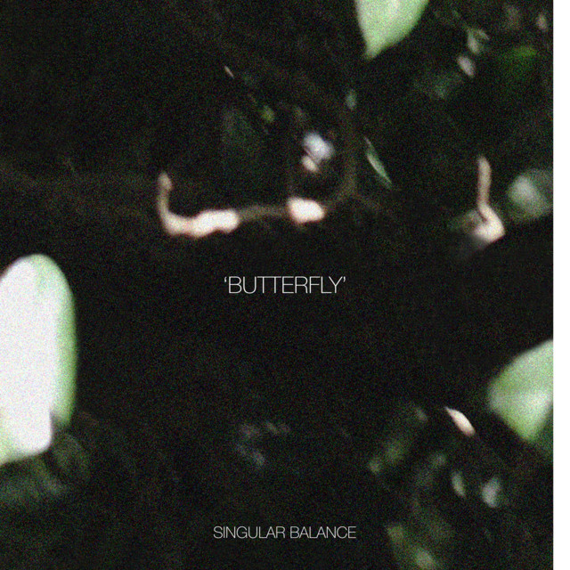Butterfly by Singular Balance (Single): Reviews, Ratings, Credits, Song ...