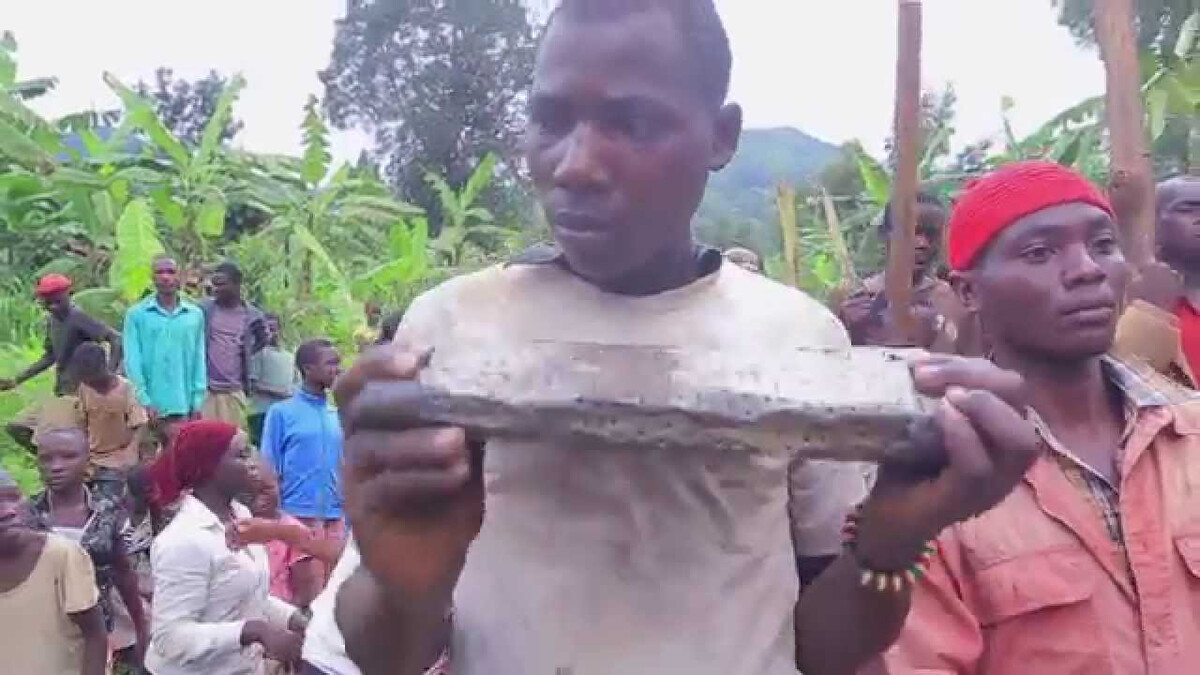 Binso Junior Survivor Albums: songs, discography, biography, and ...