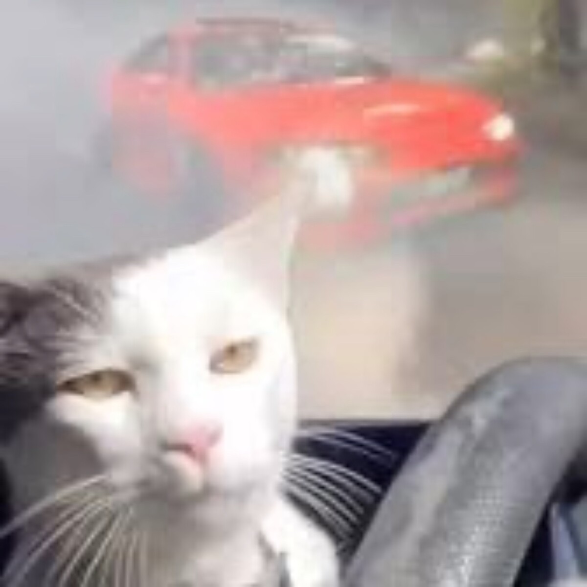 initial E by Ethereal (Album, Cloud Rap): Reviews, Ratings, Credits ...