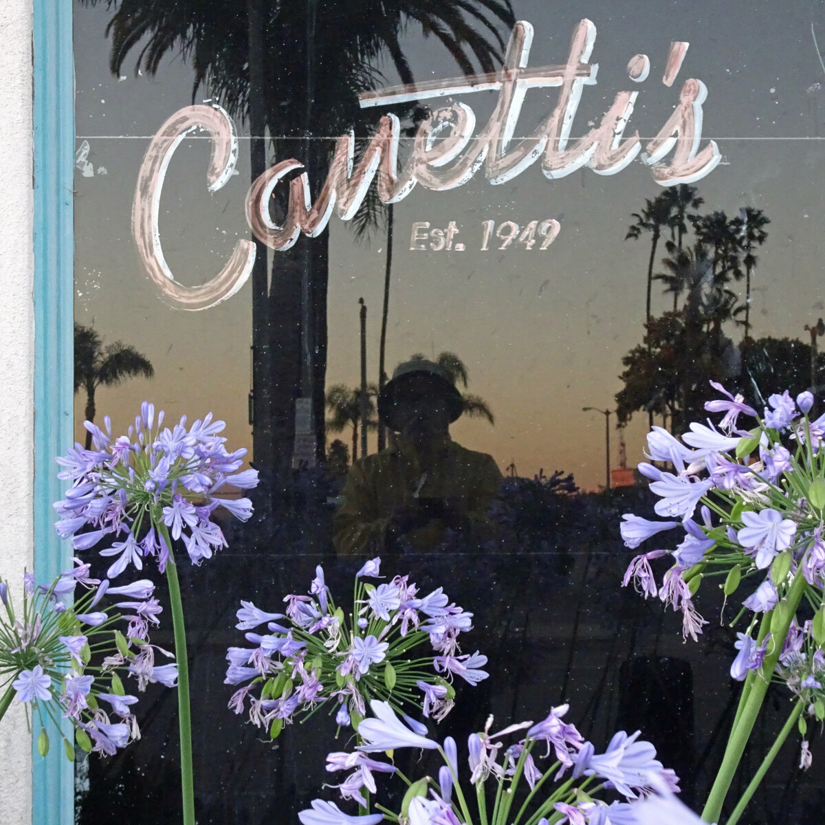 Organs & Mike Watt EP by Organs & Mike Watt (EP; n/a; n/a): Reviews ...