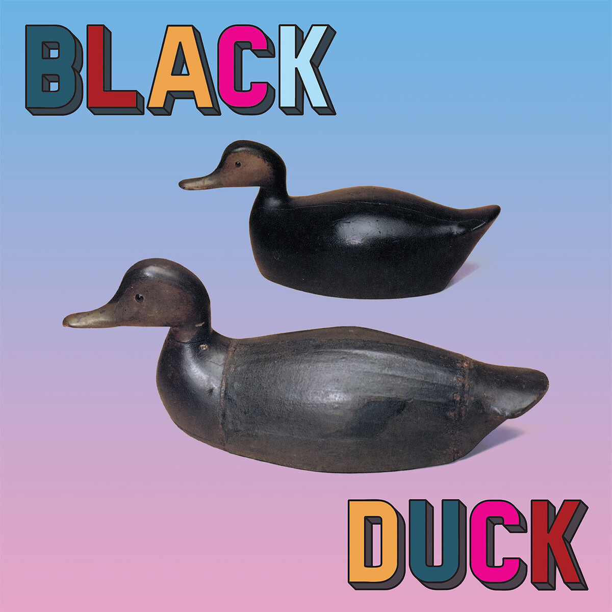 Black Duck Albums: songs, discography, biography, and listening guide ...