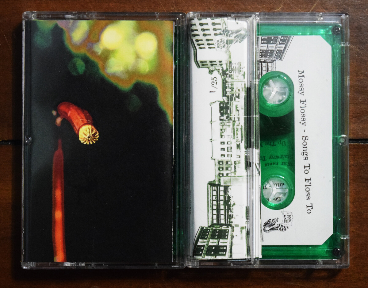 Mossy Floss Albums: songs, discography, biography, and listening guide ...