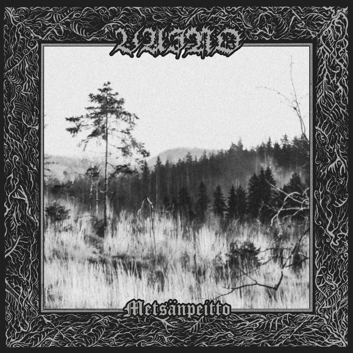 Vaino Albums: songs, discography, biography, and listening guide - Rate ...