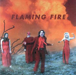 Get Old and Die With Flaming Fire by Flaming Fire (Album, Experimental ...