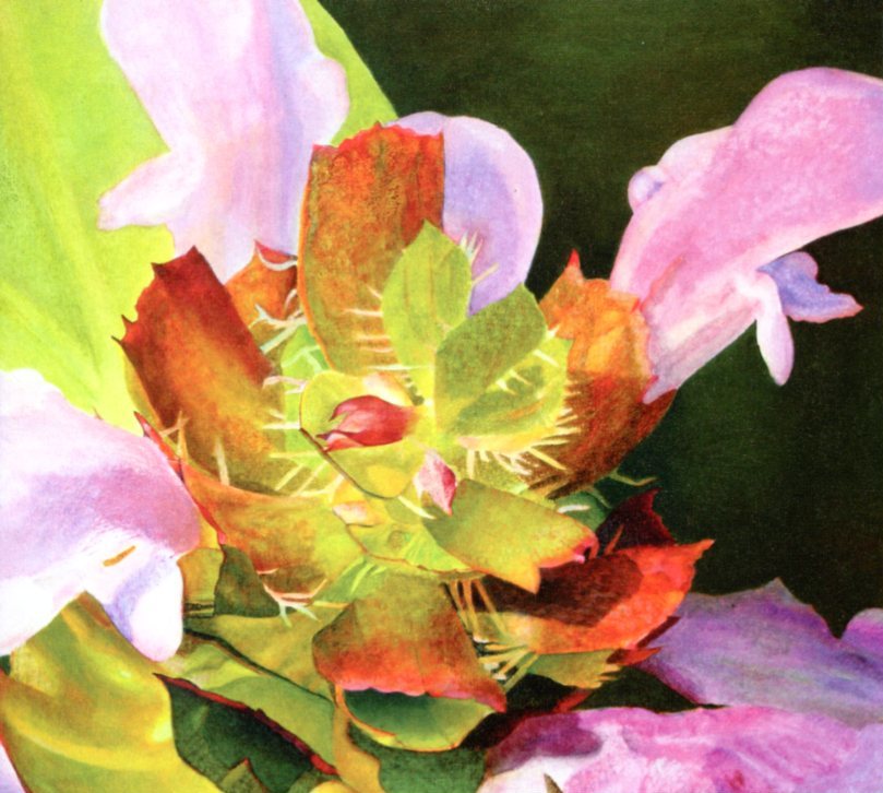 Meidän laulu by Sami Kukka (Album): Reviews, Ratings, Credits, Song ...