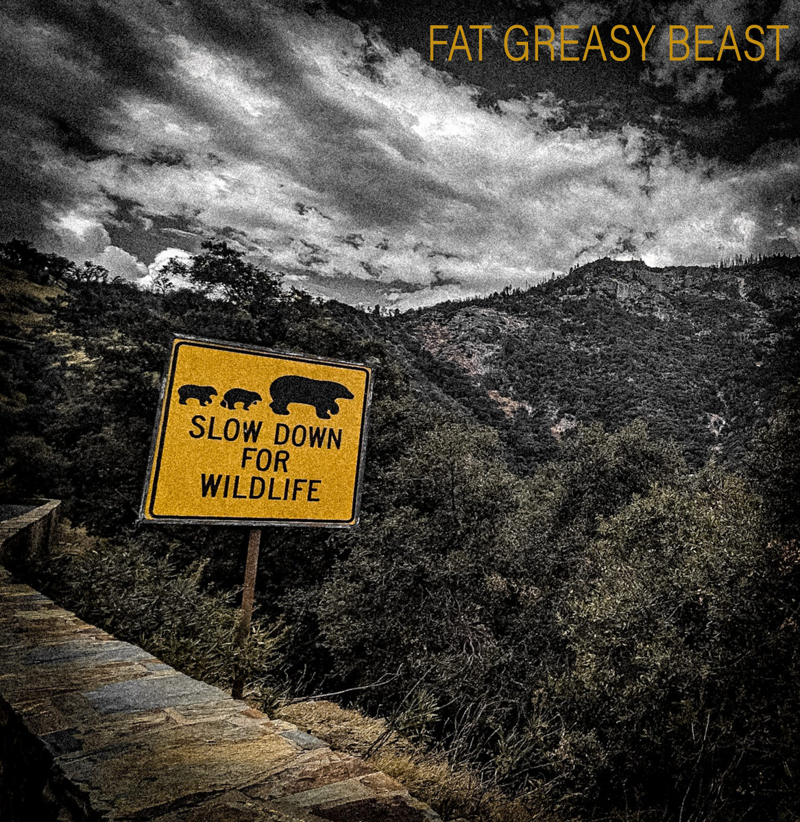 Slow Down for Wildlife by Fat Greasy Beast (Album): Reviews, Ratings ...