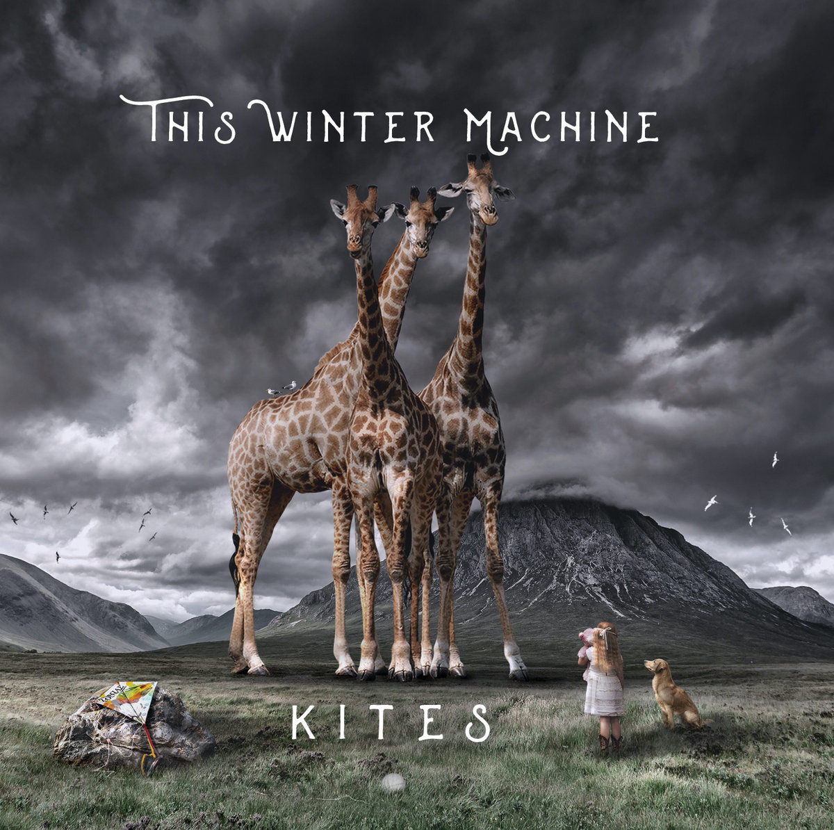Kites by This Winter Machine (Album, Neo-Prog): Reviews, Ratings ...