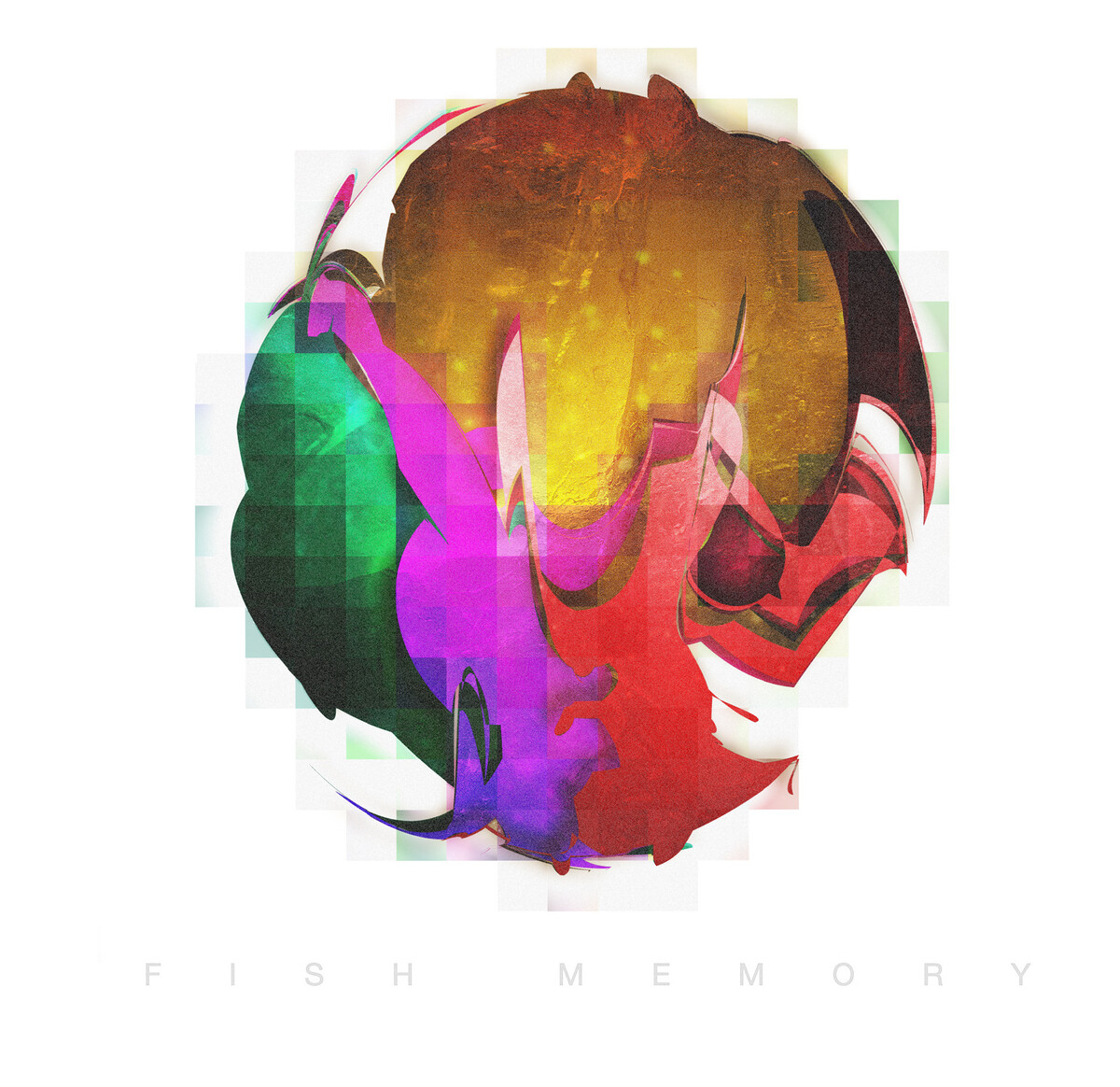 Fish Memory Albums: songs, discography, biography, and listening guide ...