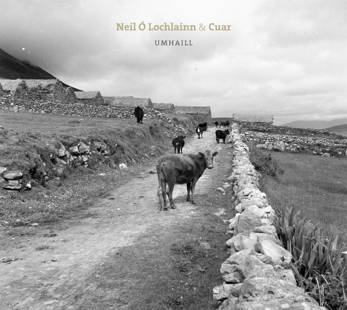 Neil Ó Lochlainn Albums: songs, discography, biography, and listening ...
