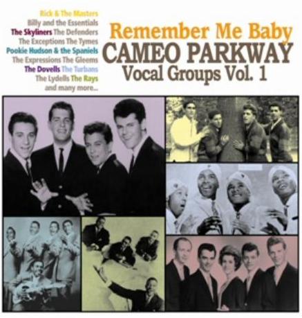 Remember Me Baby: Cameo Parkway Vocal Groups Vol. 1 by Various Artists ...