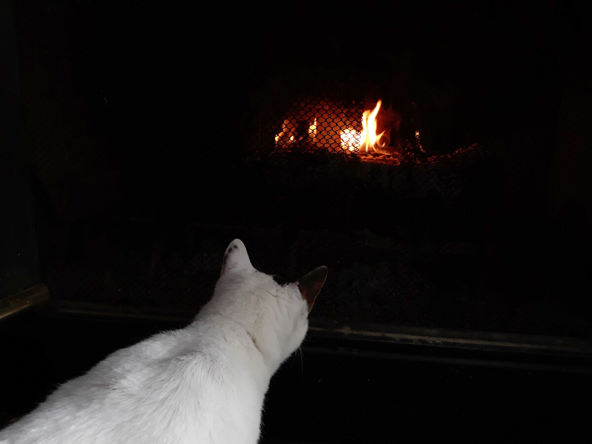 Hoverbot Vol. 4 by Hoverman (EP, Ambient): Reviews, Ratings, Credits, Song list - Rate Your Music