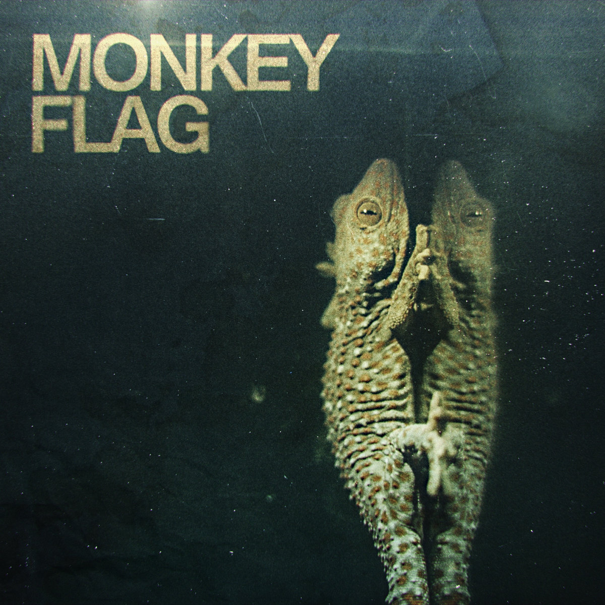 Monkey Flag EP by Monkey Flag (EP, Doom Metal): Reviews, Ratings ...