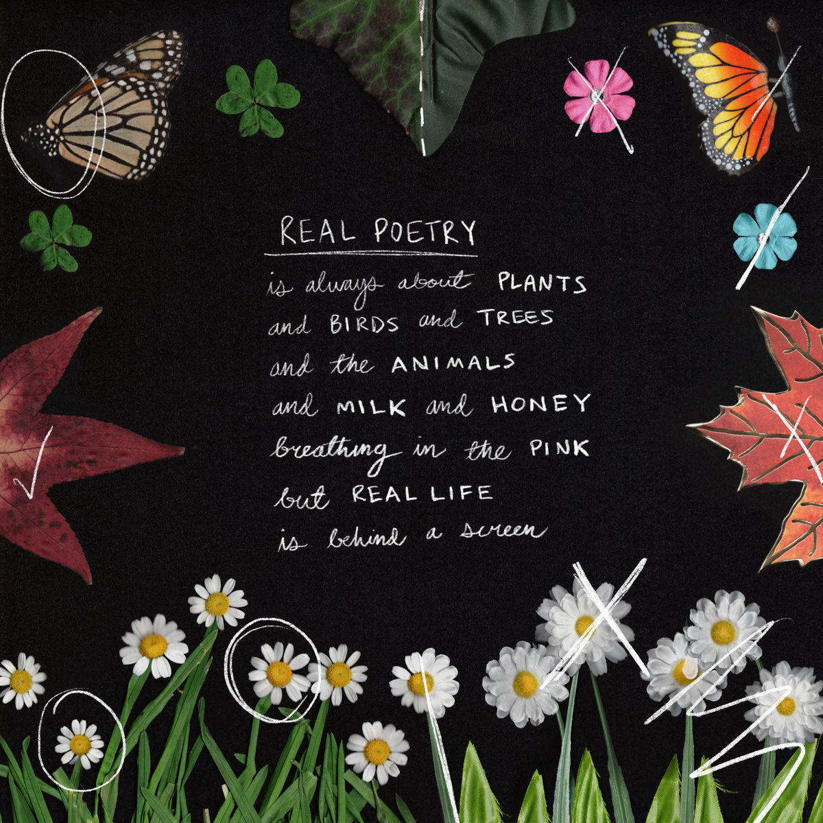 Bite Me by Pacing (Single): Reviews, Ratings, Credits, Song list - Rate ...