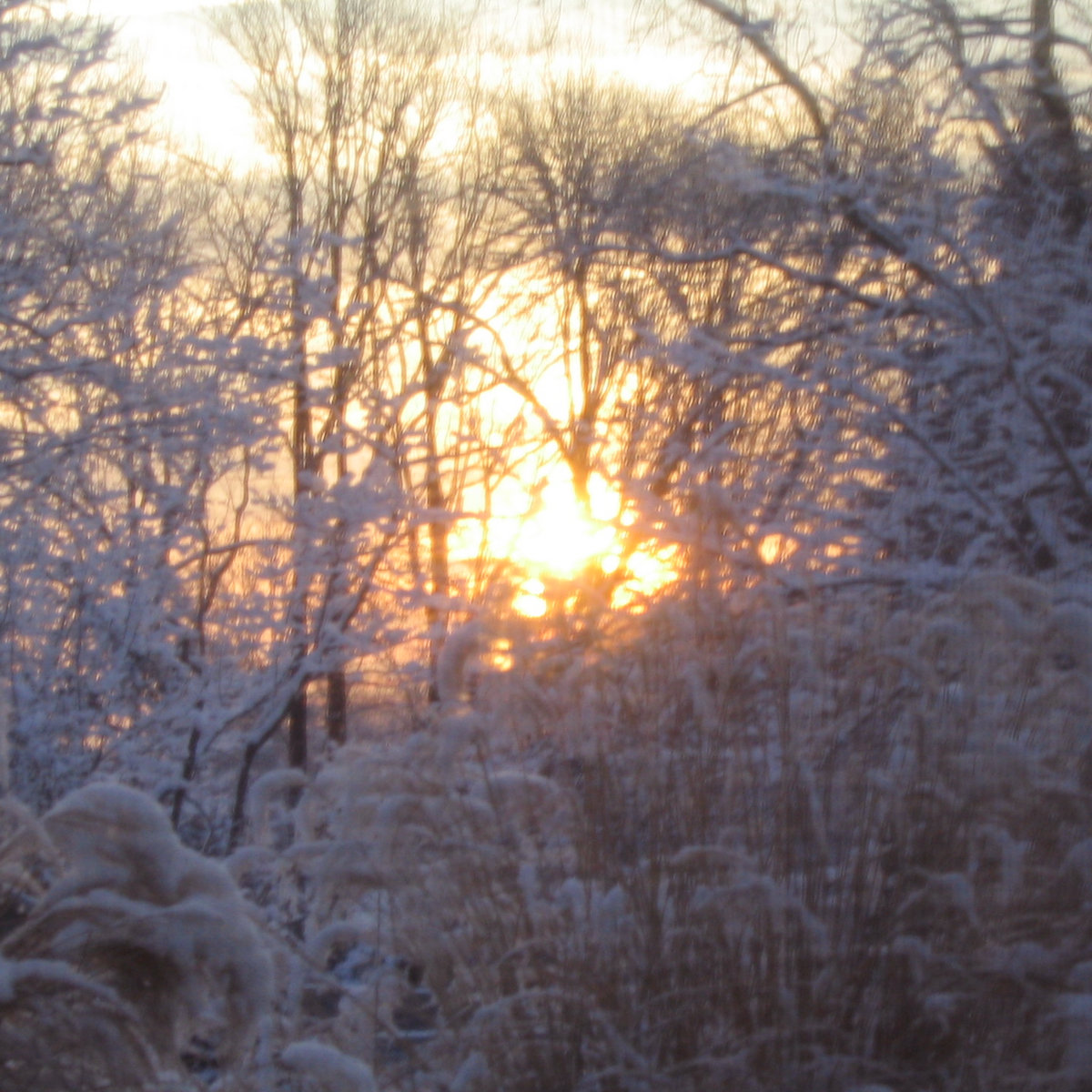 Winter Town by Noun Generator (EP, Electronic): Reviews, Ratings ...