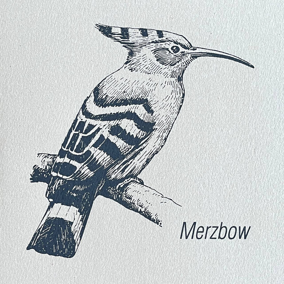 Amida by Merzbow (Single, Harsh Noise): Reviews, Ratings, Credits, Song ...