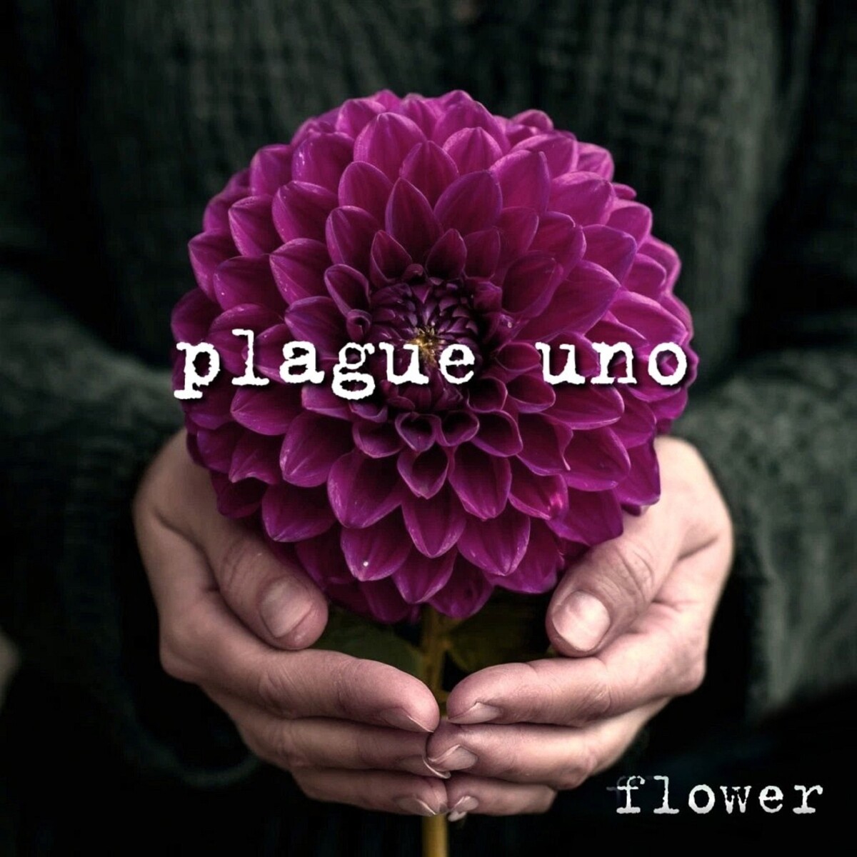 flower by plague uno (Album, Post-Metal): Reviews, Ratings, Credits ...