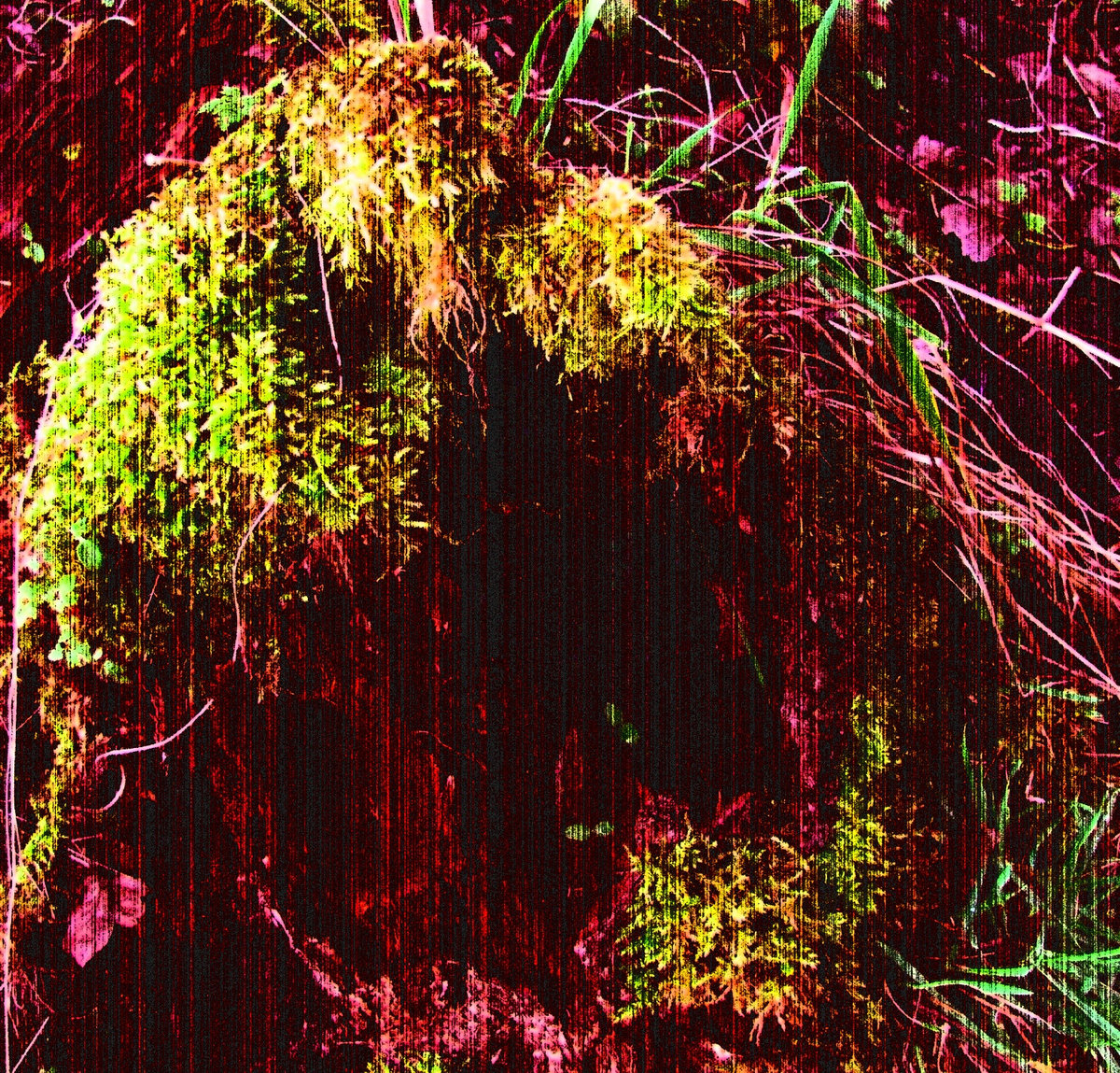 Dead Seed Inside by Sleep Column (Album; Nihil Worship; NWHNW017 ...