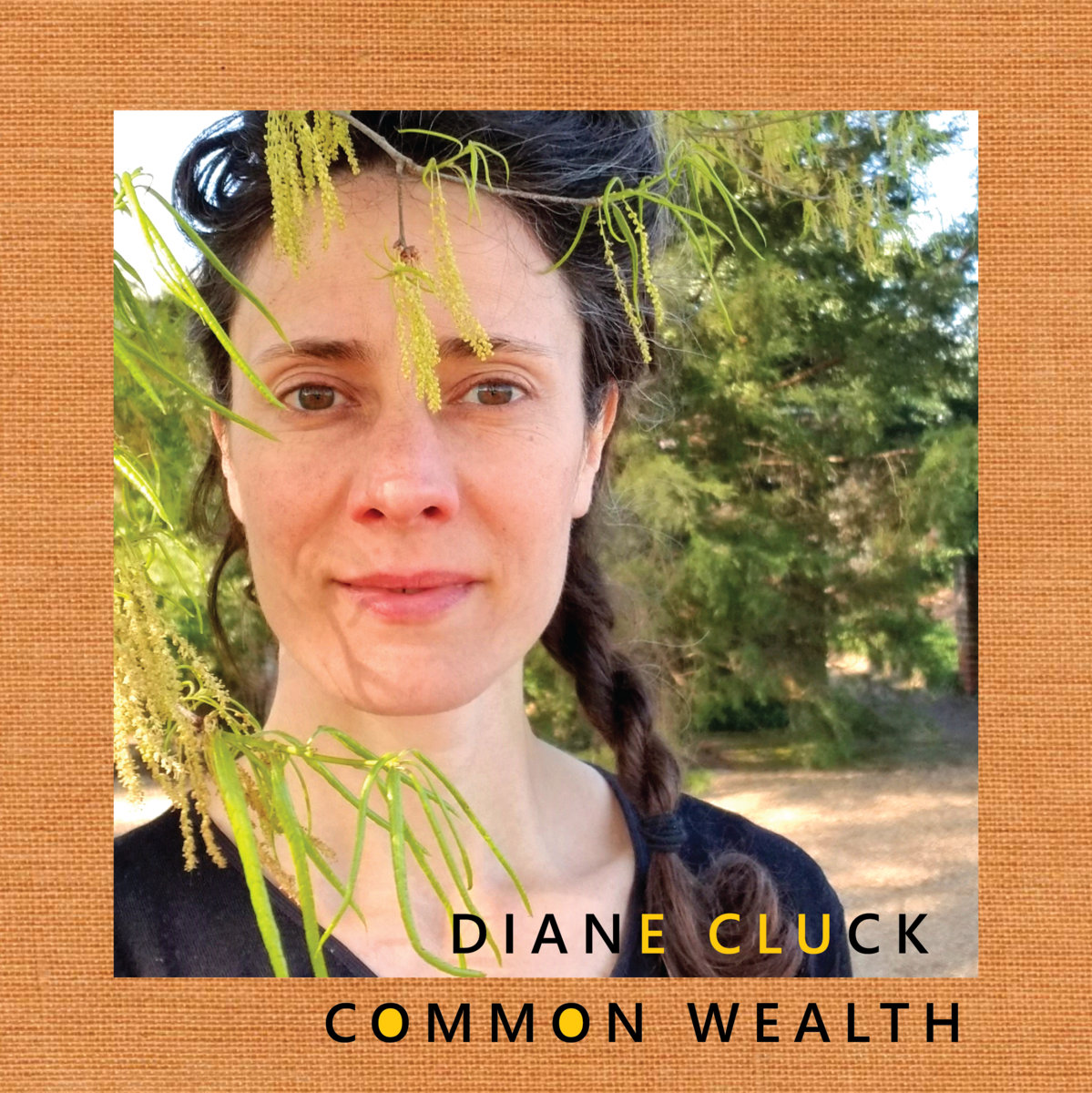 Diane Cluck Albums: songs, discography, biography, and listening guide ...