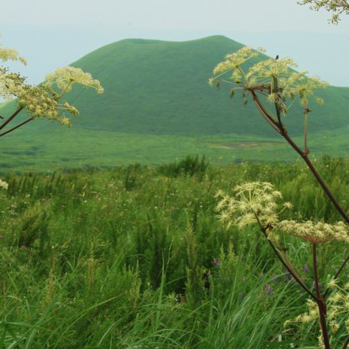 kaore e ranea by rydglek (Single): Reviews, Ratings, Credits, Song list ...