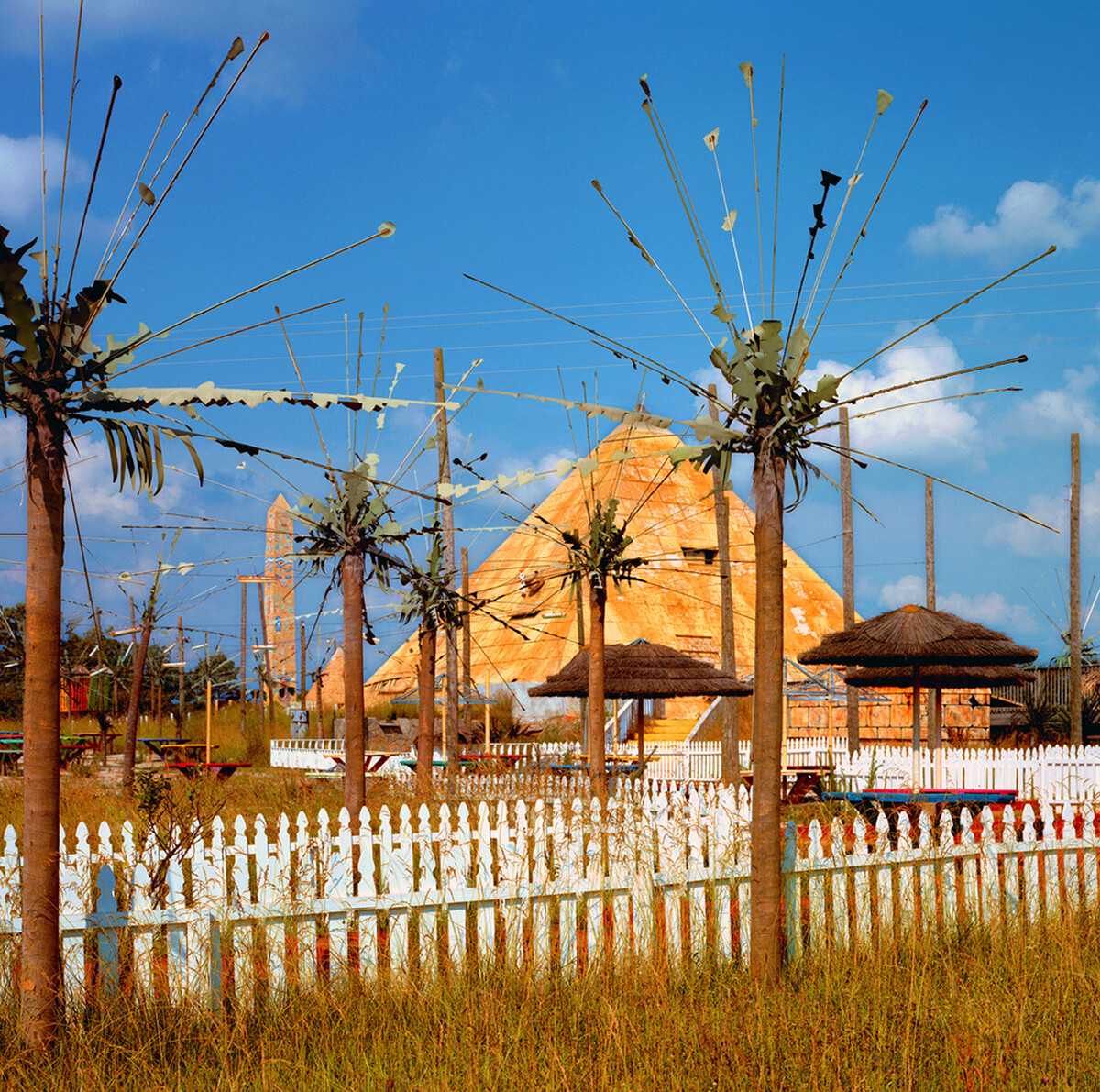 Satanized Albums: songs, discography, biography, and listening guide ...