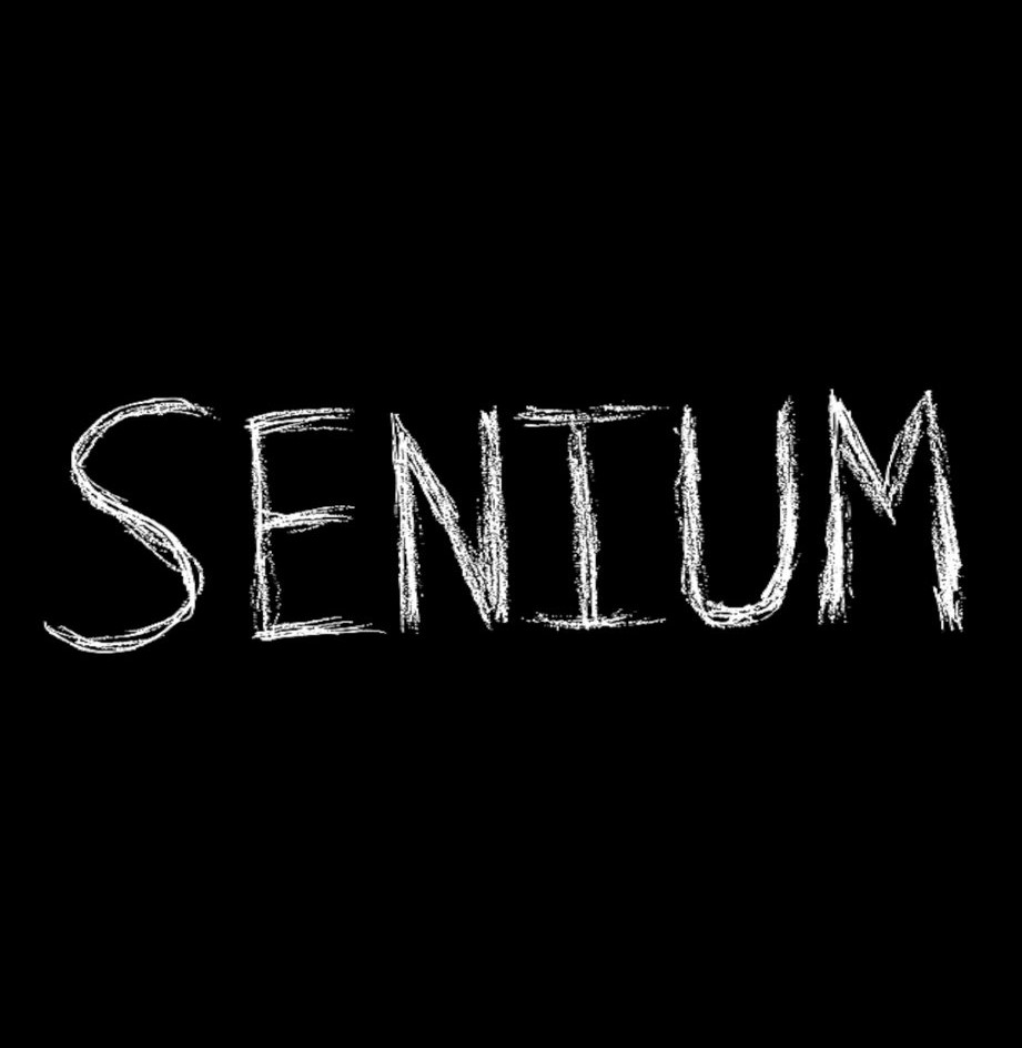 Senium by Senium (Album): Reviews, Ratings, Credits, Song list - Rate ...