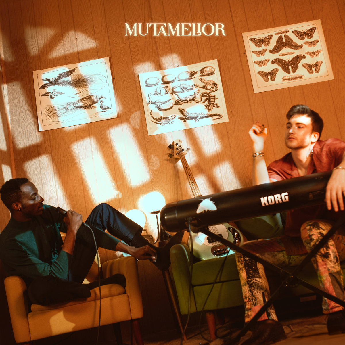 Mutamelior by Ehiorobo & Icarus Moth (EP): Reviews, Ratings, Credits ...