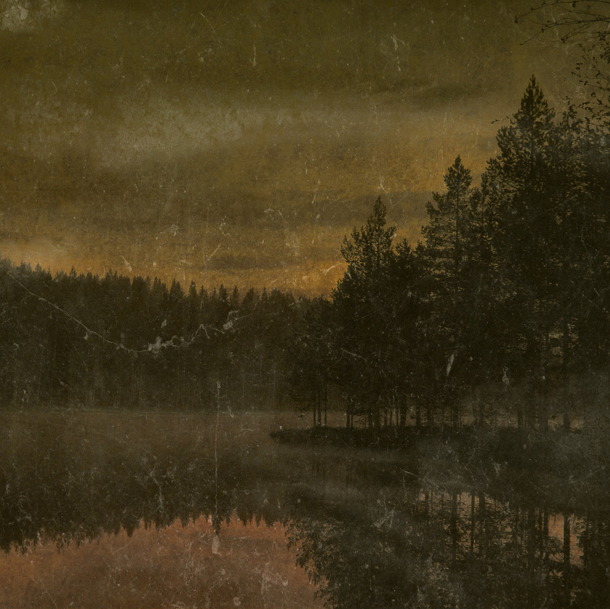 Autumn, Leaves, Scars Albums: songs, discography, biography, and ...