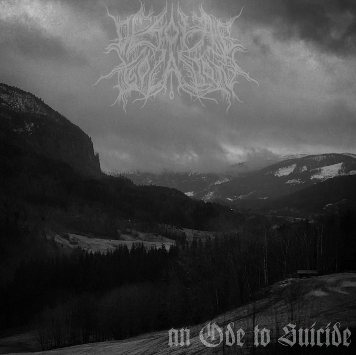 Desolate Isolation Albums: songs, discography, biography, and listening ...