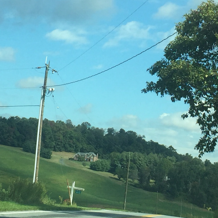 padded room by Blake Money (Single): Reviews, Ratings, Credits, Song ...