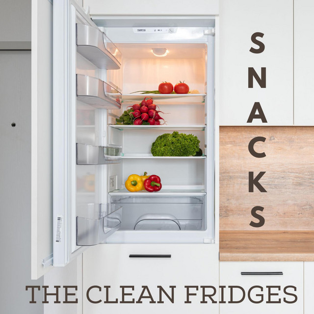 Snacks by The Clean Fridges (Album): Reviews, Ratings, Credits, Song ...