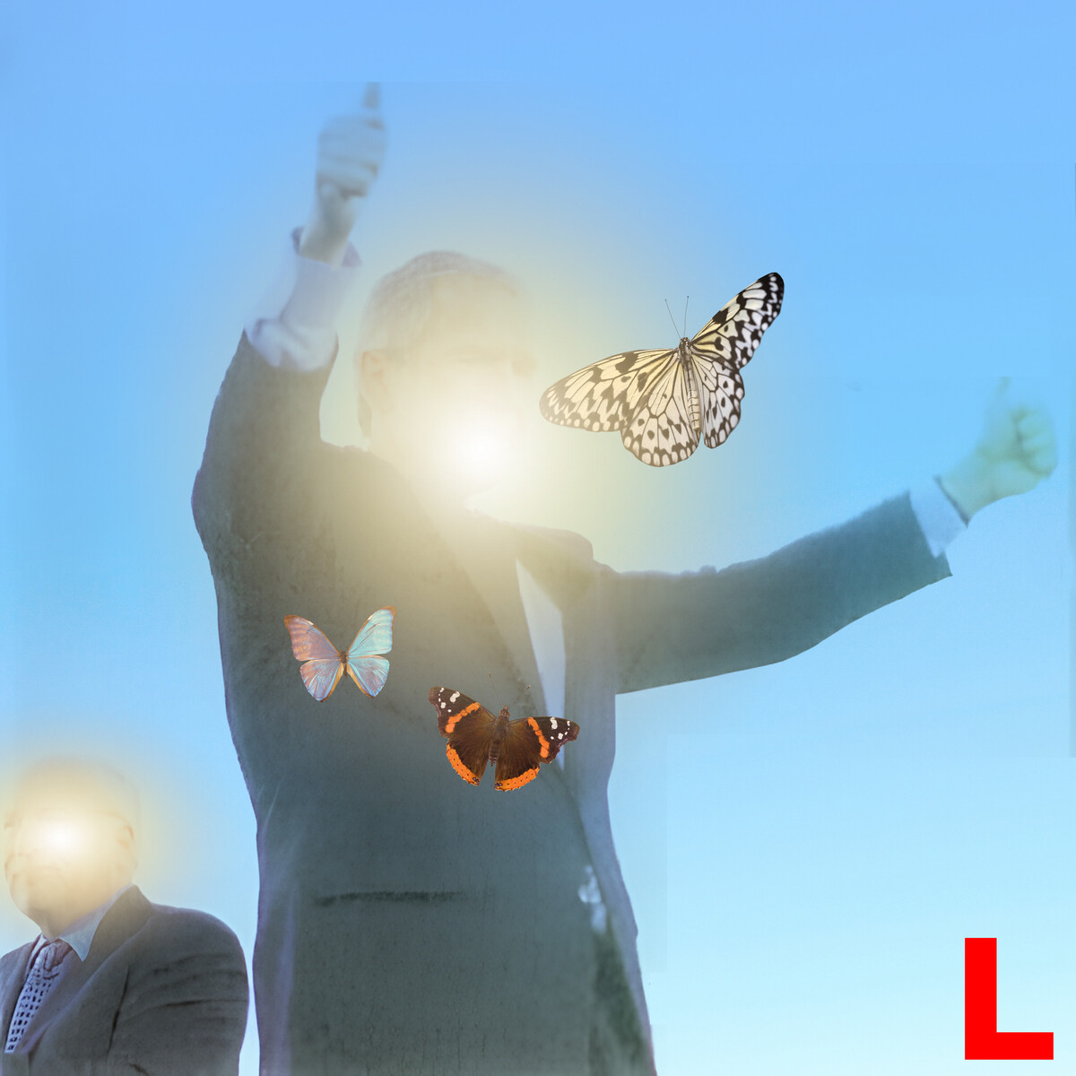 Lepidopterists by Lepidopterists (Album, Experimental Hip Hop): Reviews ...
