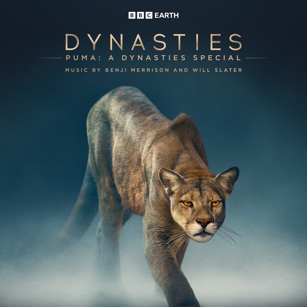 Puma: A Dynasties Special by Benji Merrison & Will Slater (Album ...