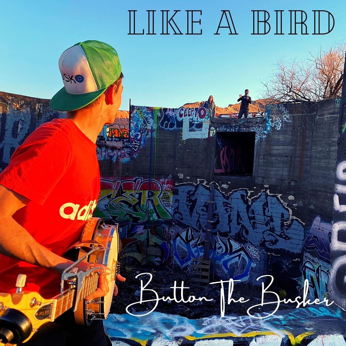 Like a Bird by Button the Busker (Single): Reviews, Ratings, Credits, Song list - Rate Your Music