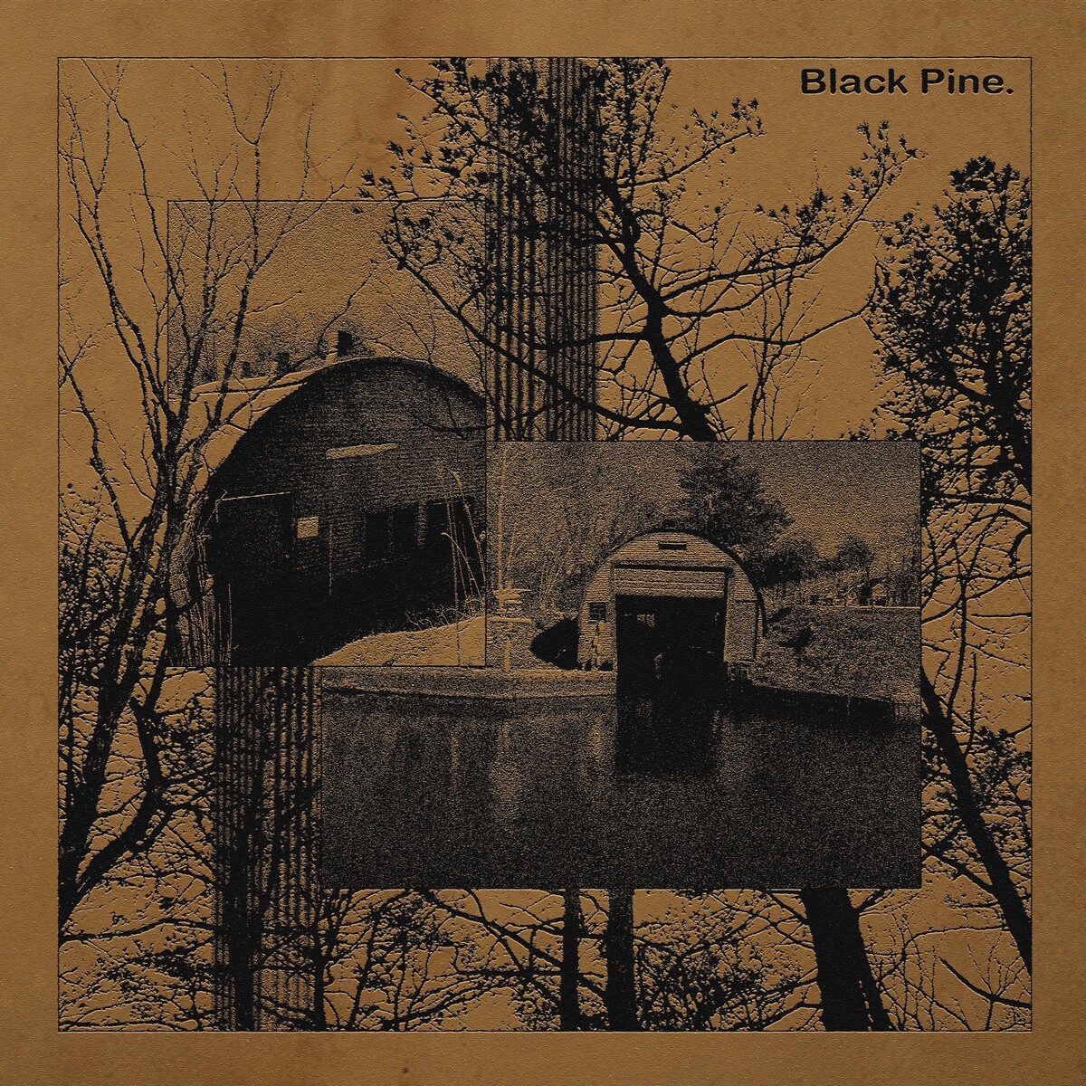 Best Post-Grunge albums of 2023 - Rate Your Music