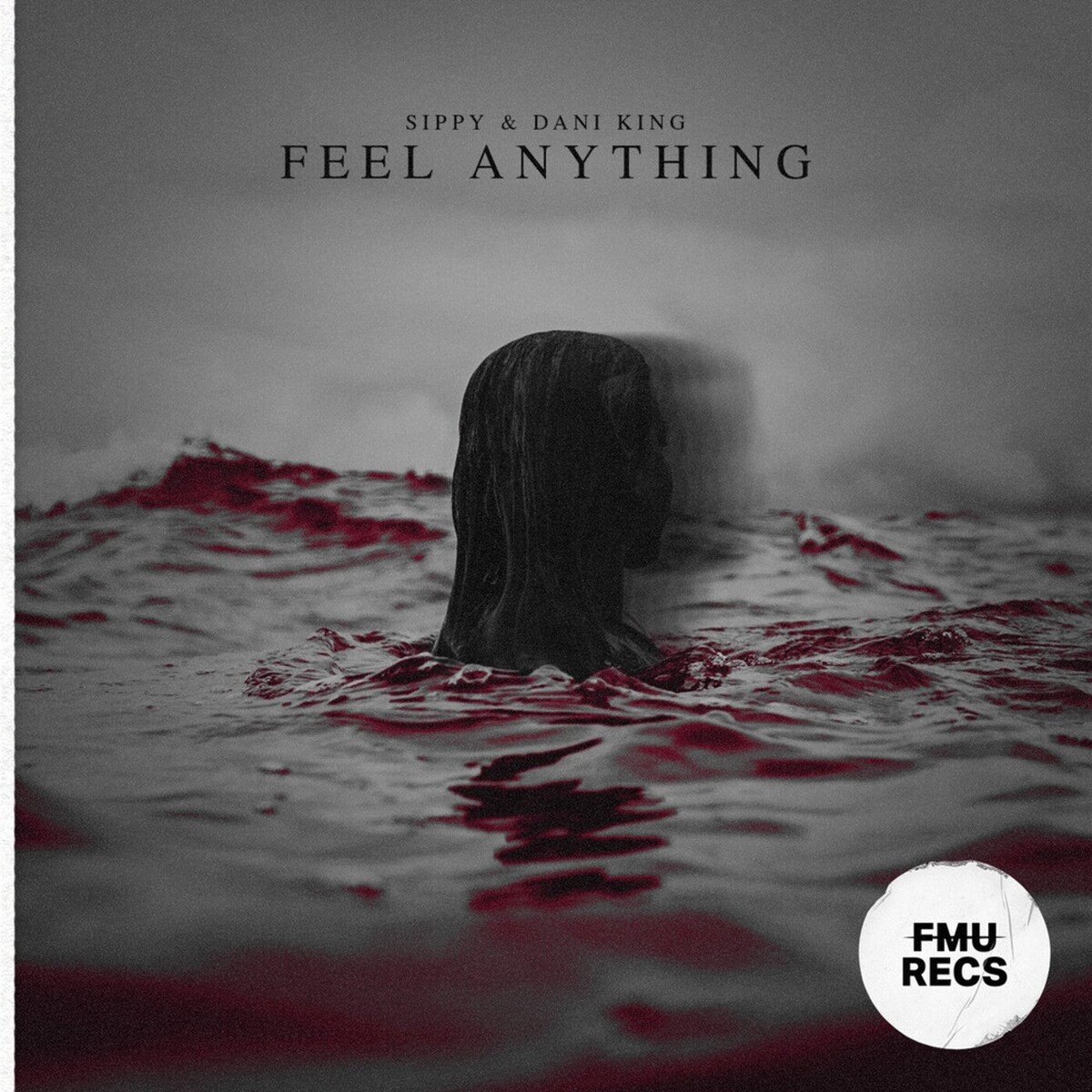Feel Anything by SIPPY & Dani King (Single): Reviews, Ratings, Credits ...