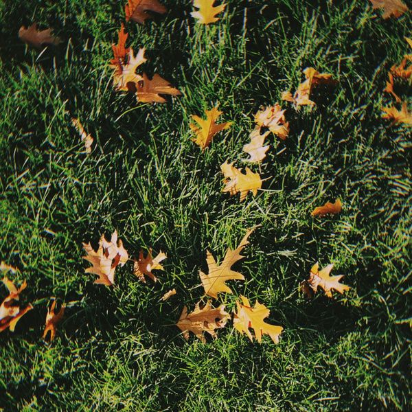 내게로 와요 (Come to me) by The Blowers (Single): Reviews, Ratings, Credits ...