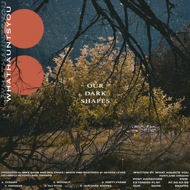 What Haunts You Albums: songs, discography, biography, and listening ...