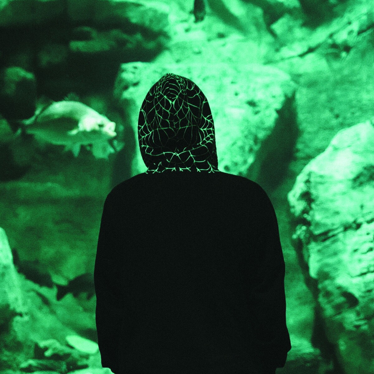 Highway by Guardin (Single): Reviews, Ratings, Credits, Song list ...