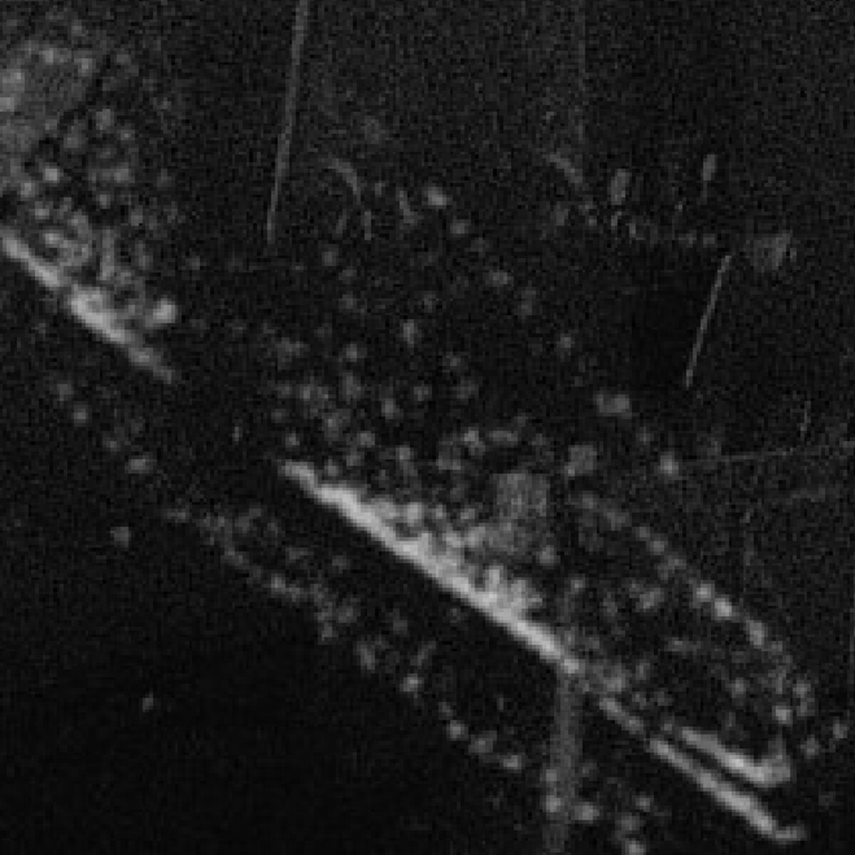 Verse Perverse by wretched fool, foolish wretch (Single): Reviews ...