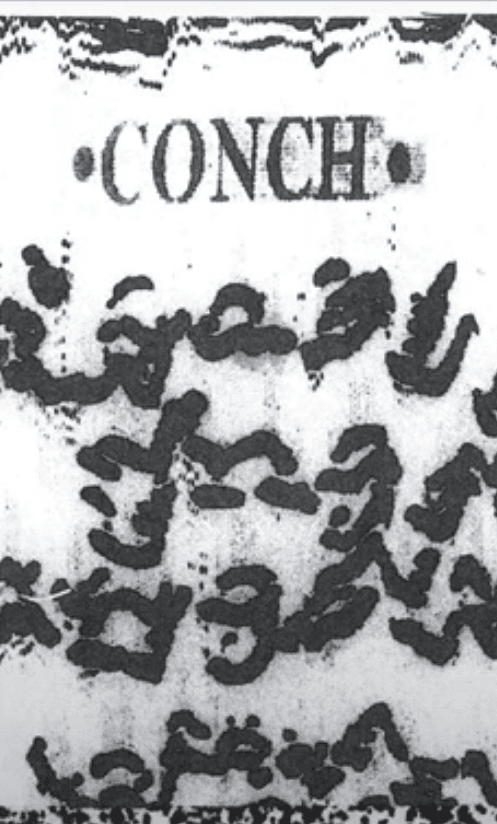 Conch Albums: songs, discography, biography, and listening guide - Rate ...