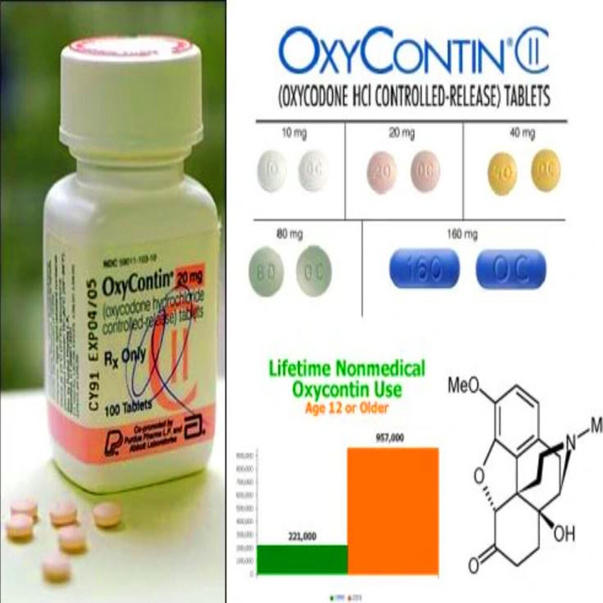 Real Oxy *Freestyle* by pegasisflame (Single; n/a; n/a): Reviews, Ratings, Credits, Song list ...